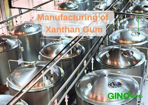 Is Xanthan Gum Vegan The Truth Behind This Versatile Food Additive