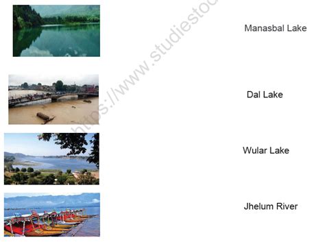 Cbse Class 1 Gk Revision Worksheet Set C