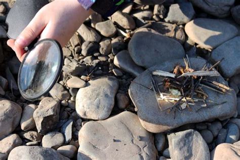 How To Start A Fire With A Magnifying Glass Survival World