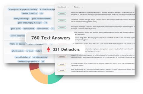 Text Analysis Netigate