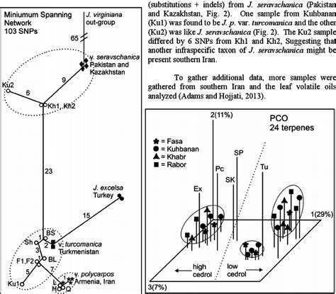 Minimum Spanning Network Download Scientific Diagram