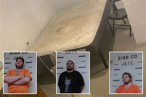 Abc 7 Anchor Jory Rand Calls Rioters A Bunch Of People Having Fun