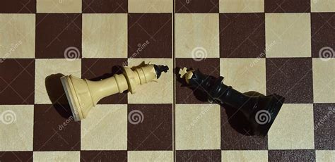 A Chessboard Board Intellectual Game The Finished Batch Chess Pieces