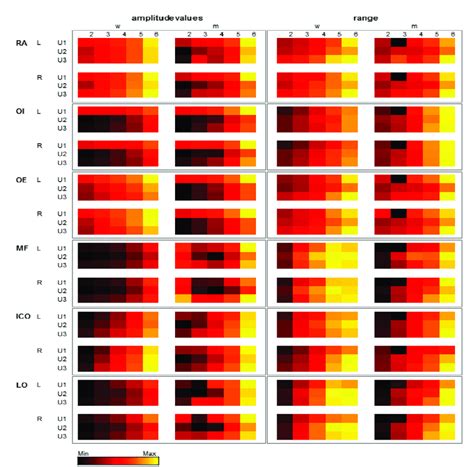 Quantitative Representation Of The Mean Amplitude Values And The Range