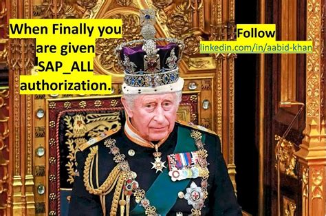 Aabid Khan On Linkedin Sap Sapmemes Memes Meme Funny Funnymemes