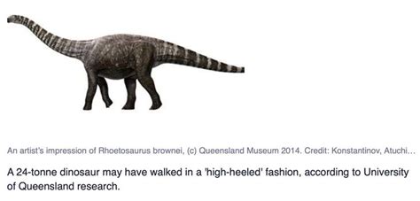 Pin By Warwick Raverty On Jurassic Fossils Moose Art Fossils Museum