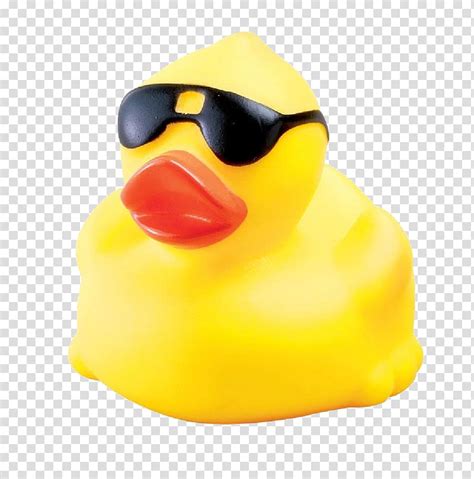 Duck Wearing Sunglasses Clipart 10 Free Cliparts Download Images On Clipground 2024