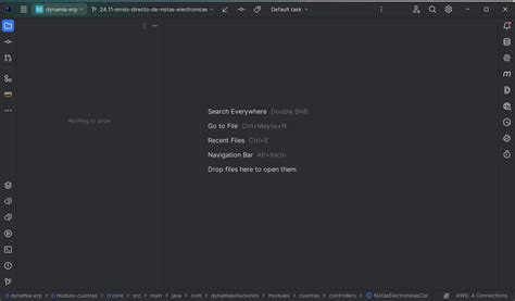 20243 Empty Project Panel And No Run Or Debug Optiones Nothing To Show Message Ides