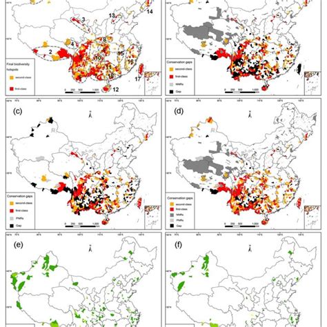 Wendi Zhang Institute Of Botany Cas Beijing State Key Laboratory Of Systematic And