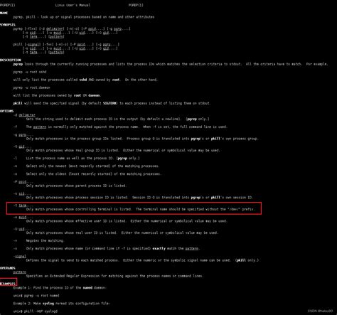 Linux系统中pts和tty会话删除kill Pts Csdn博客
