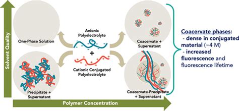 Complexation Of A Conjugated Polyelectrolyte And Impact On Optoelectronic Properties Acs Macro