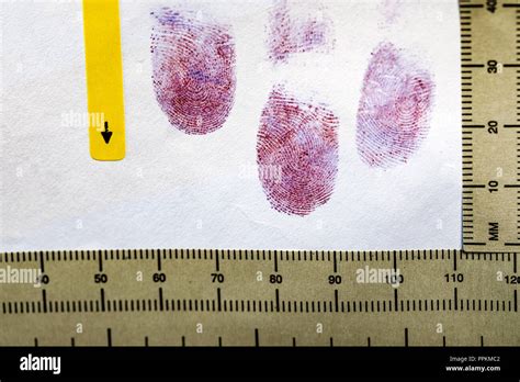 forensics lab revealing latent fingerprints using ninhydrin 46 off