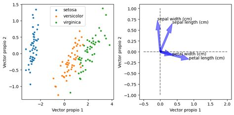 31 Reducción De Dimensionalidad Con Pca — Computación Científica Con