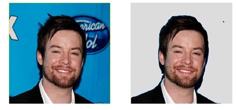 Sample Model Output For Portrait Segmentation Download Scientific