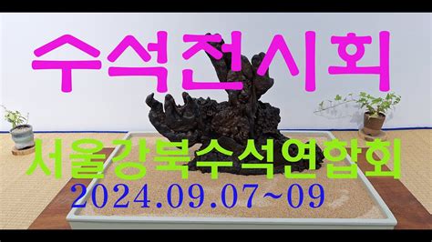 제19회 강북수석연합회 회원전 자연의 아름다움을 담다강북문화예술회관 Youtube