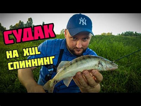 НАНОДЖИГ ЛОВИТ ВСЕ! Судак и окунь на деревенском пруду. Спиннинг Black ...