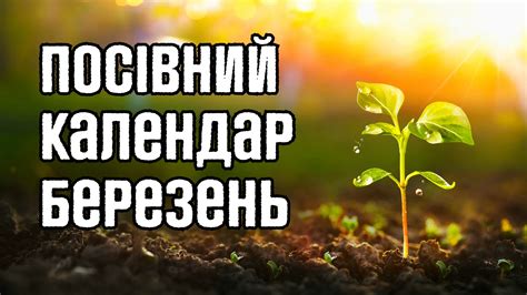 Pogodnik Лунный посевной календарь на март 2024 года