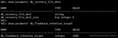 Oracle闪回技术详解oracle 闪回 Csdn博客