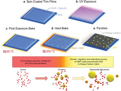 Ae Schematic Of The Experimental Setup And The Steps Involved In The Download Scientific