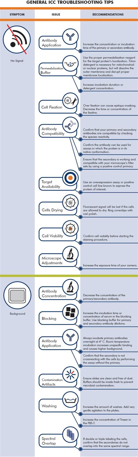 Cellular Response To Hypoxia Novus Biologicals