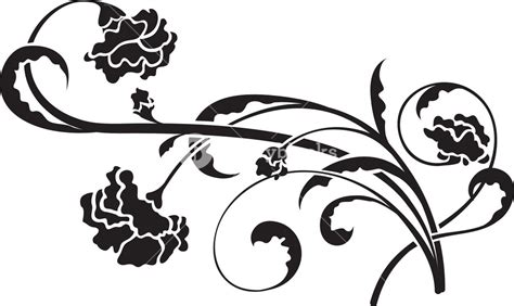 Curl Floral Vector Element Royalty Free Stock Image Storyblocks