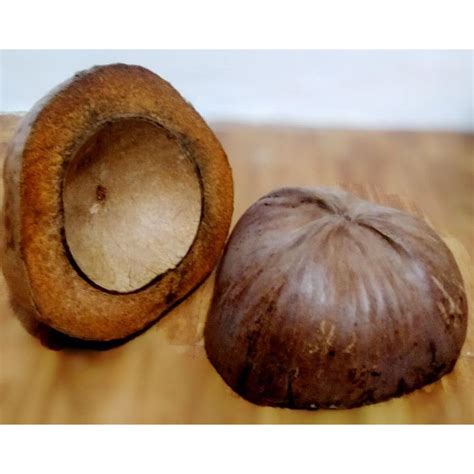 Bunot Coconut Husk For School Bunot Good Quality Coconut Husk Bunot 1pc