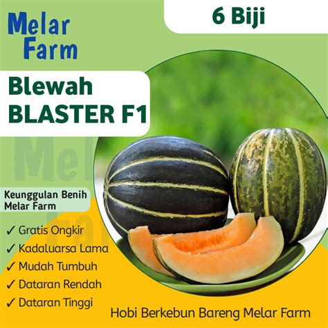 Jual Melar Farm 6 Bibit Buah Blewah Blaster F1 Hibrida Shopee Indonesia