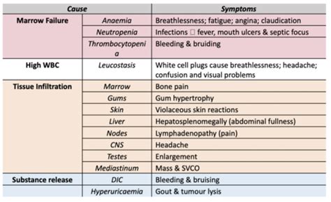 Haematological Malignancy Flashcards Quizlet