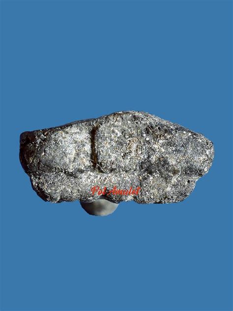 หลวงปู่ทวดเนื้อว่าน รุ่นแรก 2497 พิมพ์กลางหน้ากลม อกแฟบ สวยแชมป์ Ennxo