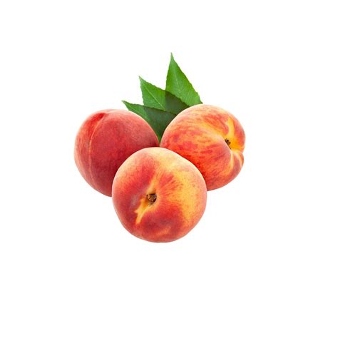 Extreme Class Orhan1