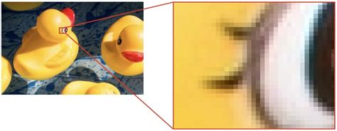 【python・opencv】画素値にアクセスする方法 Codevace