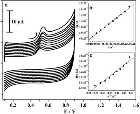 A Cvs Curve For 10 µm Rs In 02 M Pbs Ph 74 At Polycbbgmcpe