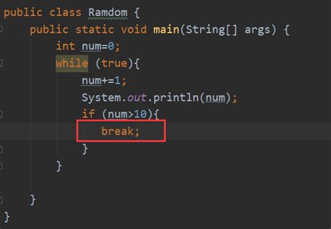 Java While循环的两种打断方式 挪威森林猫zzz 博客园 Java While循环的两种打断方式 挪威森林猫zzz 博客园