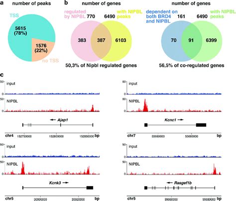 Chip Seq Analysis Shows Major Nipbl Localization At Promoter Regions A Download Scientific