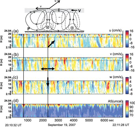 Three Dimensional Fluctuation Velocity Field Derived From Two Hours Of Download Scientific