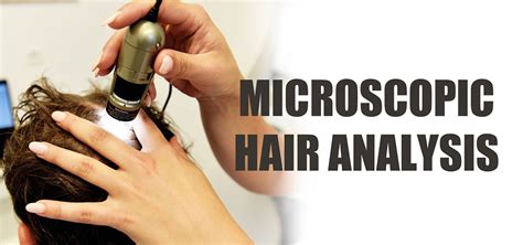 Hair Analysis Under Microscope At Sabrina Evans Blog Hair Analysis Under Microscope At Sabrina Evans Blog