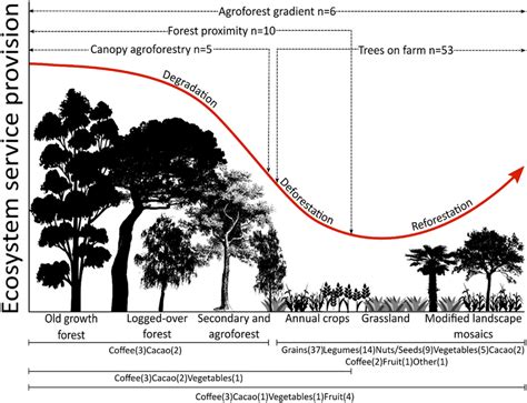 Figure Showing A Forest Transition Curve And The Position Along Which