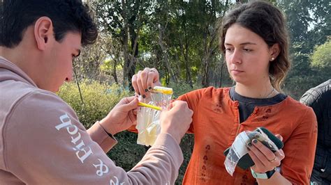 Stem Study Abroad Programs Authentica