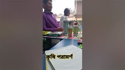 কৃষি বিষয়ক পরামর্শ চলছে Agriculture কৃষি পরামর্শ পেয়াজ চাষ কৃষাণেরবন্ধু Youtube
