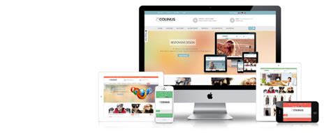 codex web design chicago il goodviser