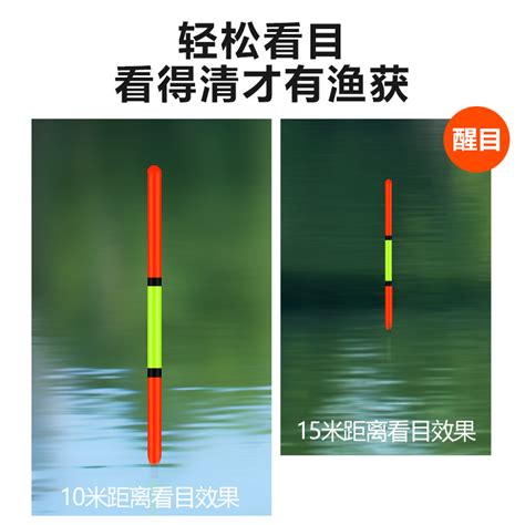雪芦远投大物浮漂大浮力巨物矶钓滑漂大粗尾超醒目鱼漂青鱼鲢鳙漂虎窝淘