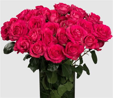 First Choice Floral