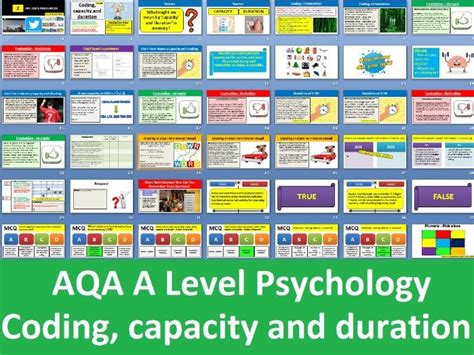 Coding Capacity And Duration Of Memory AQA A Level Psychology Memory Teaching Resources