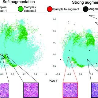 Problems Related To Color Augmentation Parameters On The Left Small
