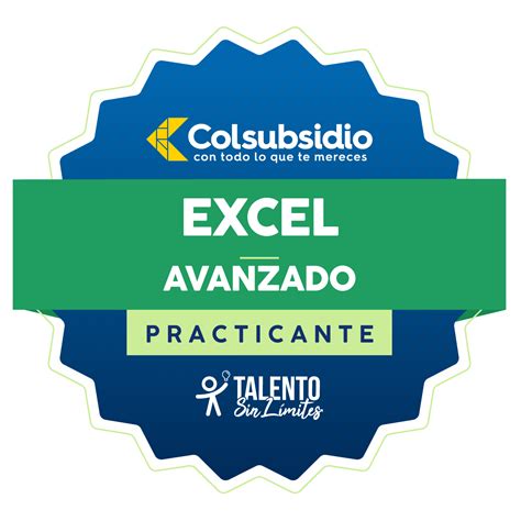 Practicante Excel Avanzado Credly