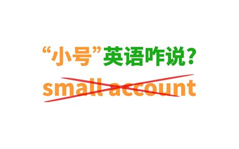 你有小号吗 它用英语怎么说 英语兔 英语兔 哔哩哔哩视频