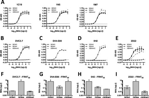 Recognition And Neutralization Of Rdenv42 Virus By Denv Specific Download Scientific Diagram