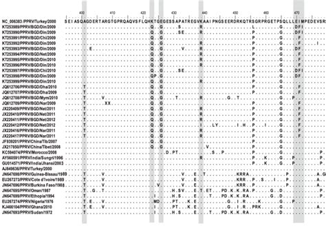 Multiple Sequence Alignment Of The Partial Amino Acid N Protein
