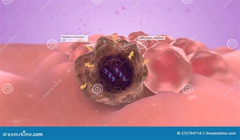 The Abnormal Gene Is Known As An Oncogene Because It Causes Tumor Growth Stock Illustration