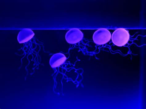 New 3d Printing Complex Microscopic Constructs Using Human Cells Additive